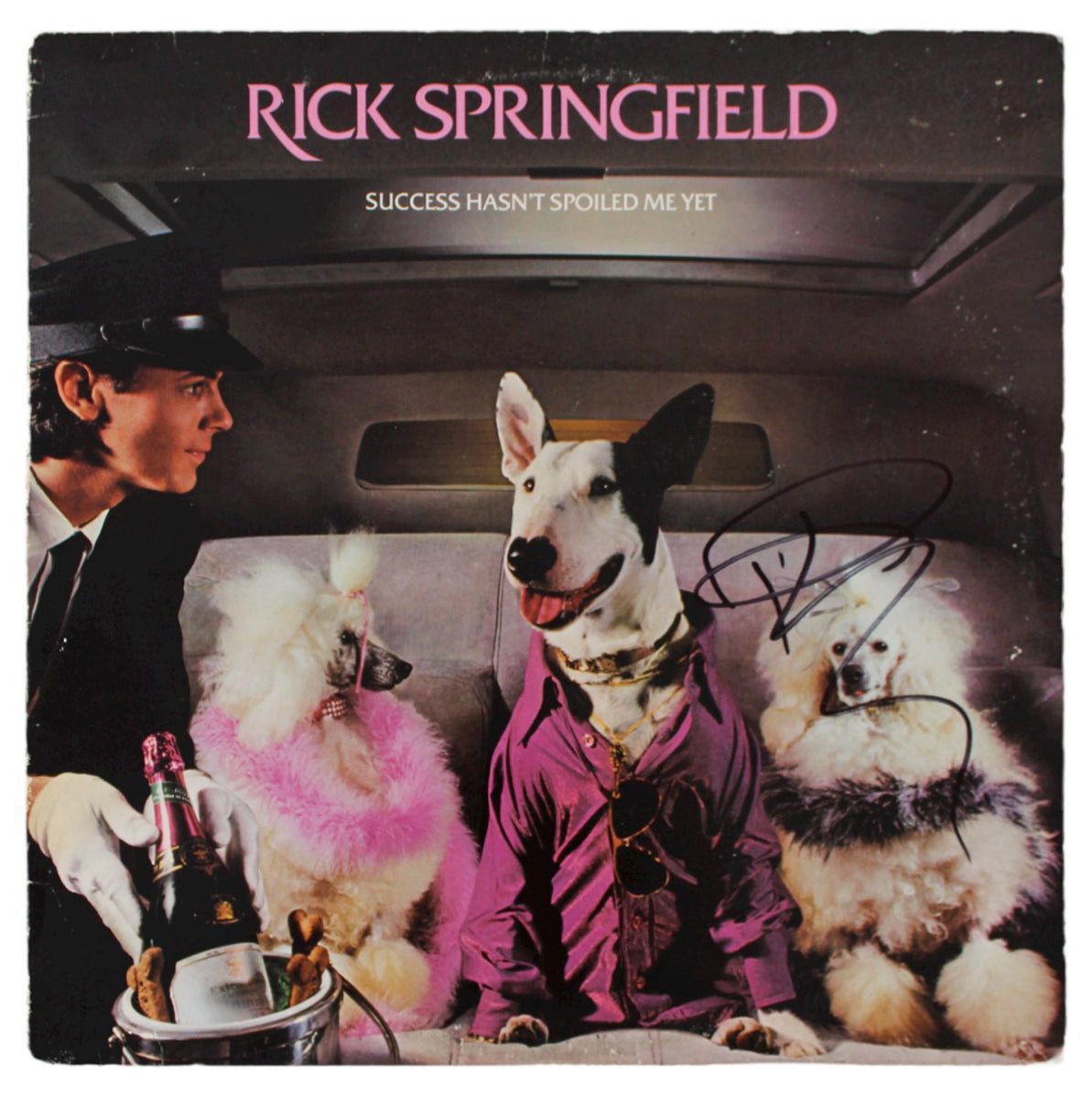 Rick Springfield Signed Success Hasn't Spoiled Me Yet Album Cover BAS